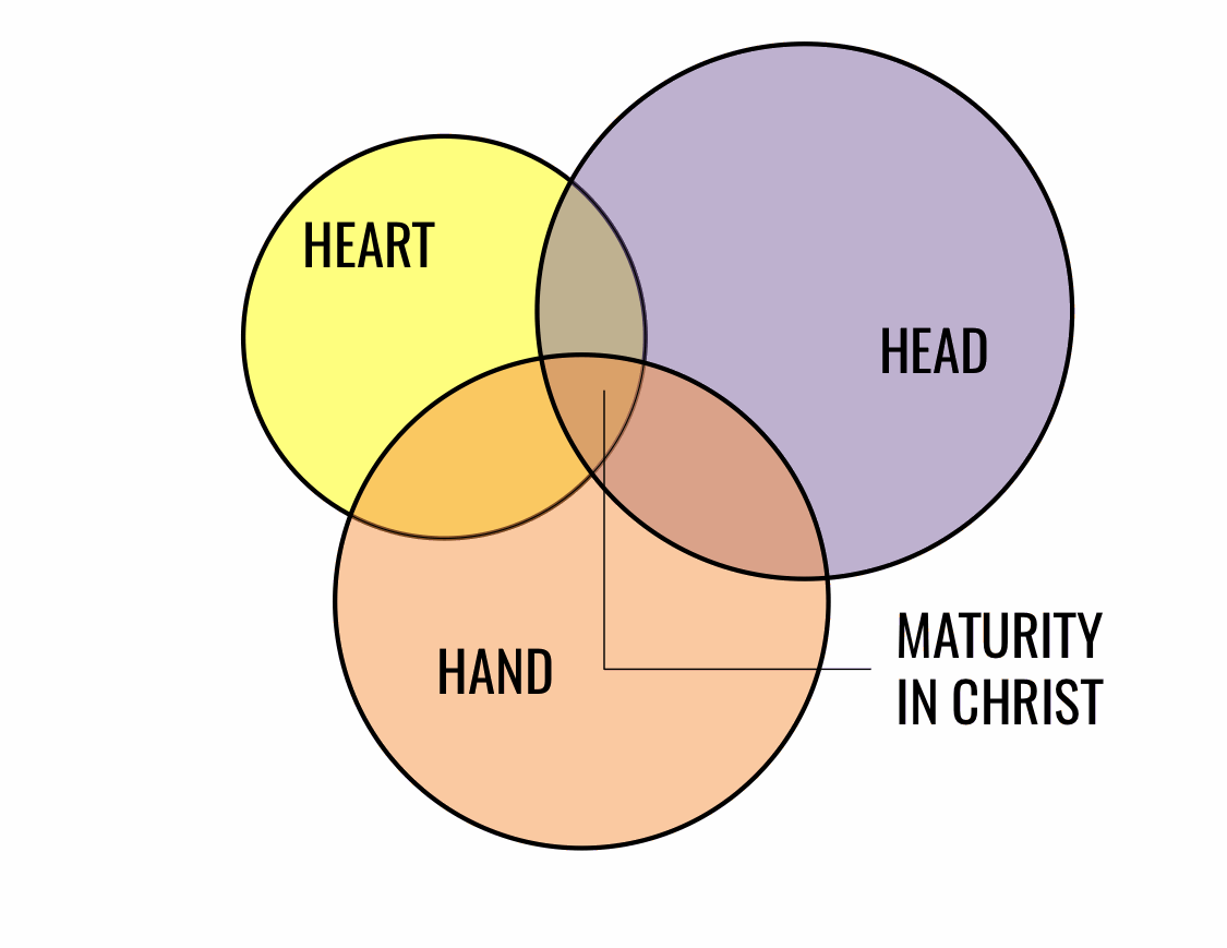 Thinker, Feeler or Doer? – DISCIPLE MAKING STAGES